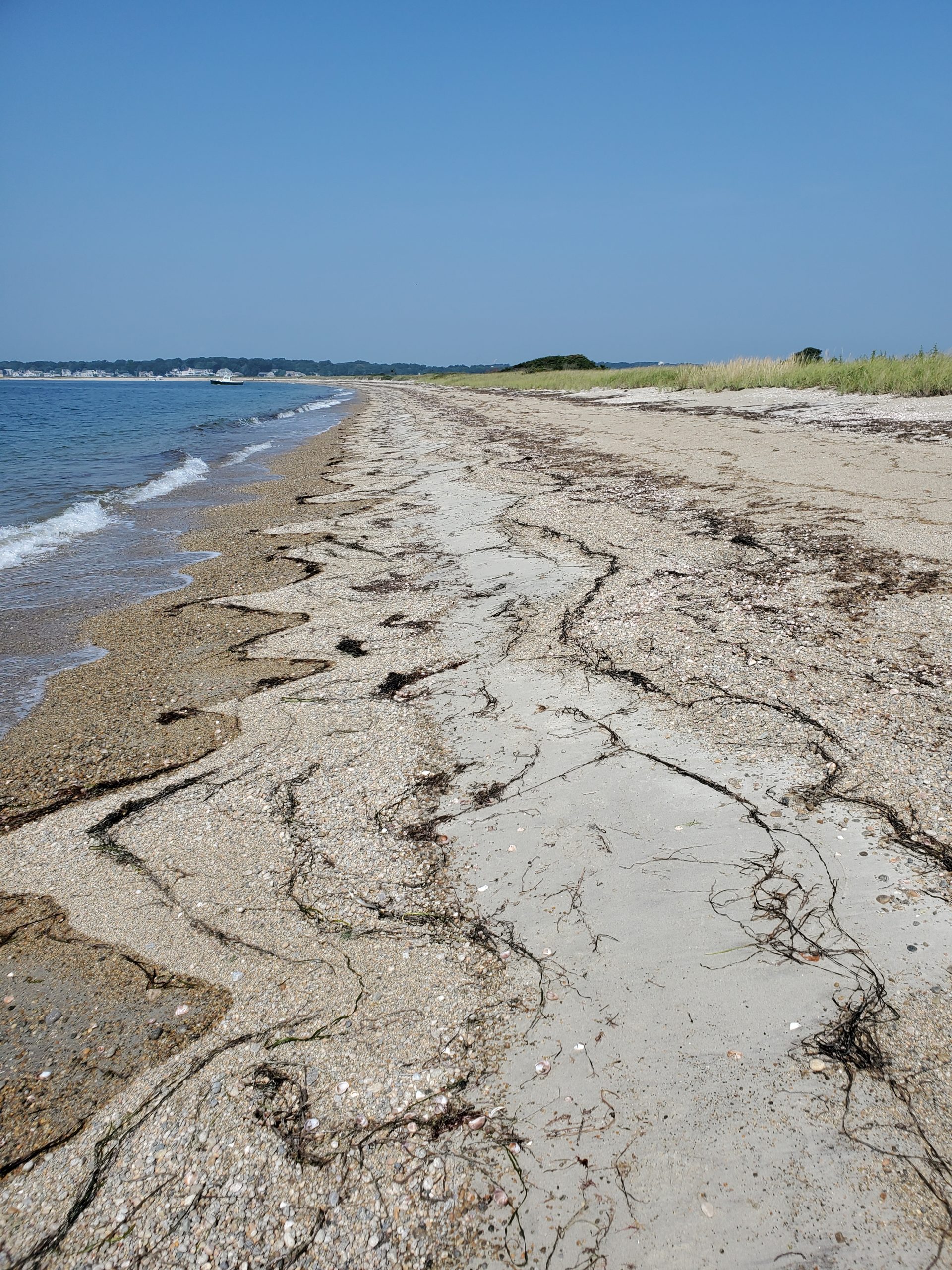 How Will Climate Change Impact Connecticut? | Center for Land Use ...