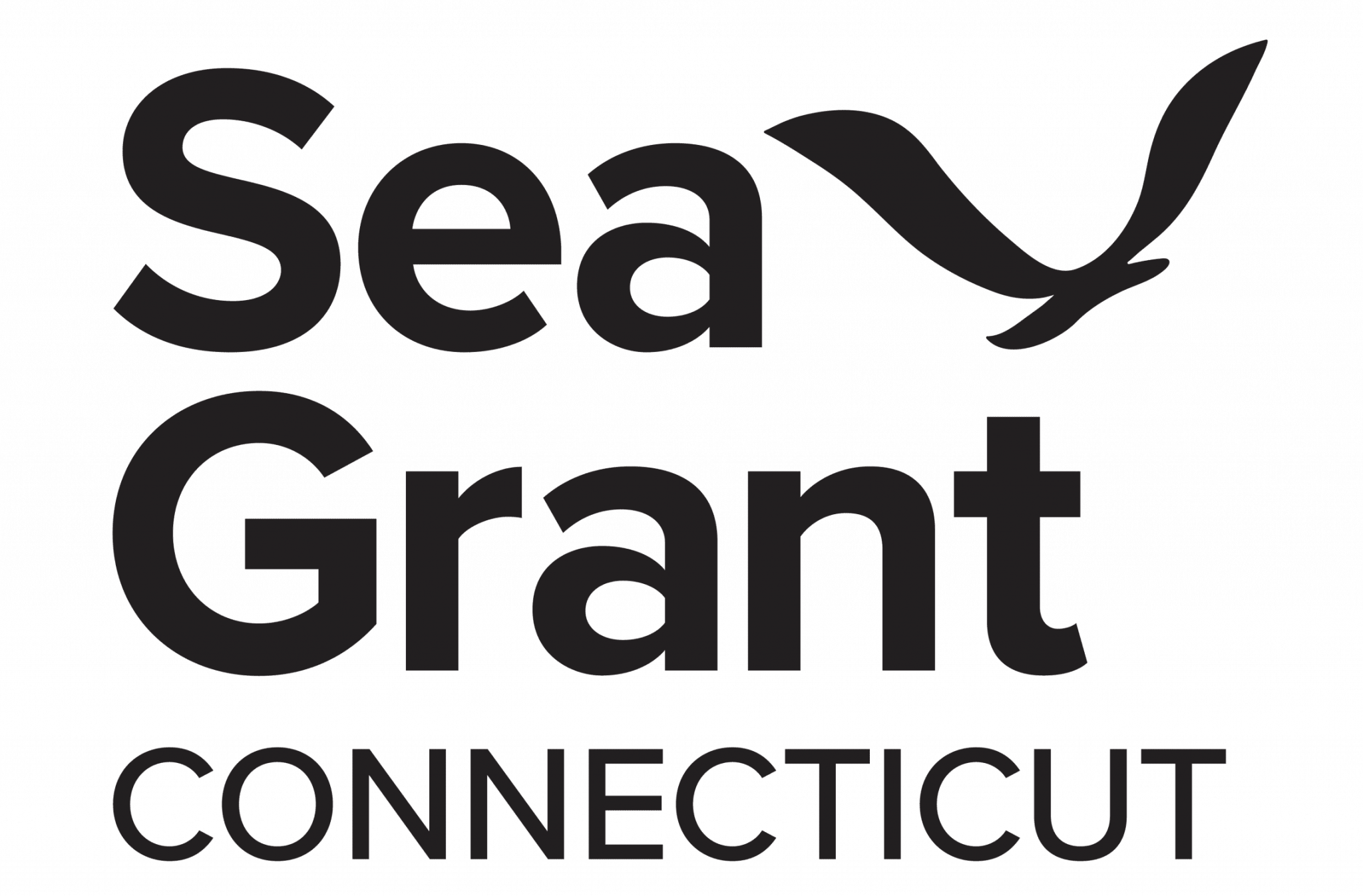 UConn CLEAR Training Courses | Center for Land Use Education and Research